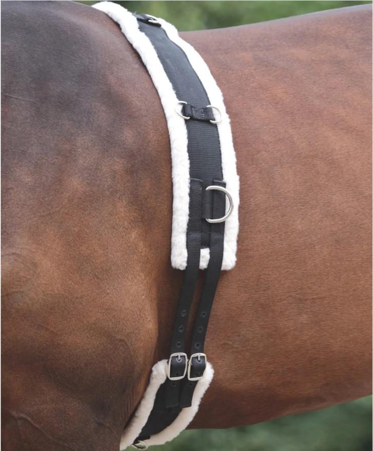 Economy Training Surcingle by Al Sakb -Horse Wear- Online in UAE - Al ...